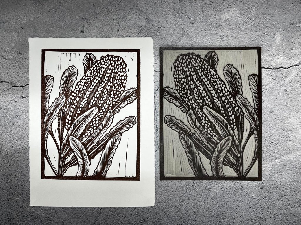 Banksia | Australian Wild Flower - Sally Caston | Contemporary Printmaker