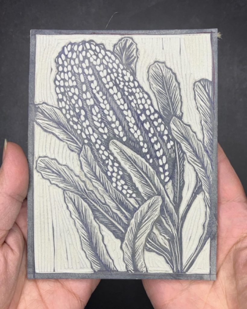 Banksia | Australian Wild Flower - Sally Caston | Contemporary Printmaker