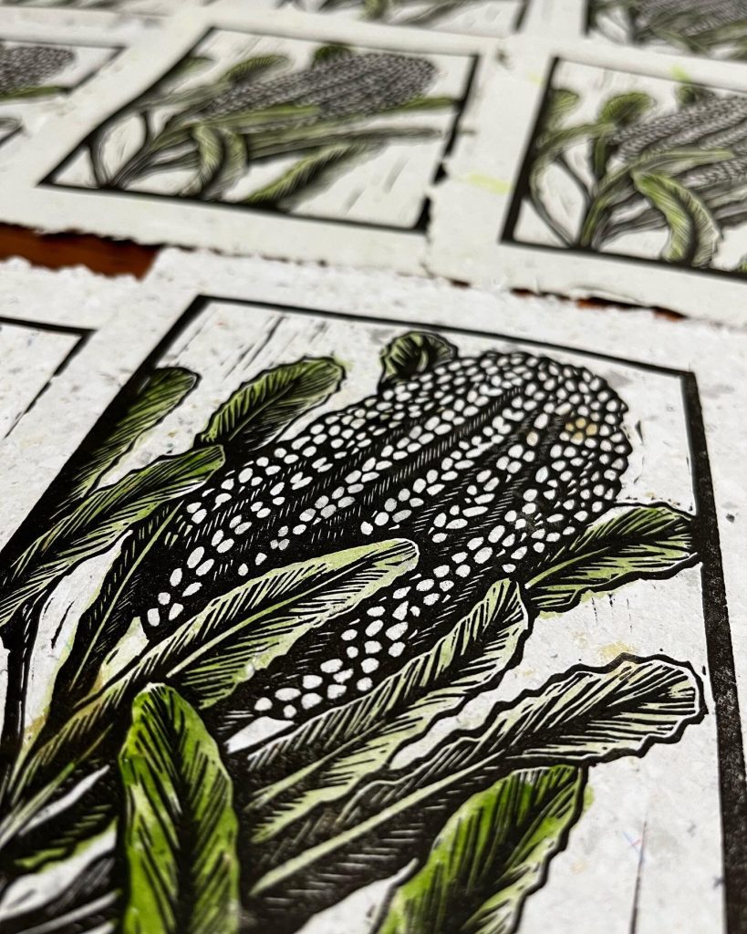 Banksia | Australian Wild Flower - Sally Caston | Contemporary Printmaker
