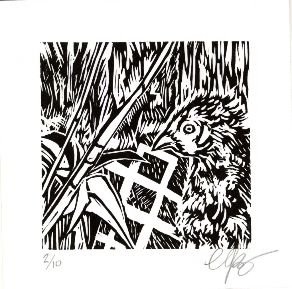 Buy print: Clarisa Ines Rodriguez - Sally Caston | Contemporary Printmaker